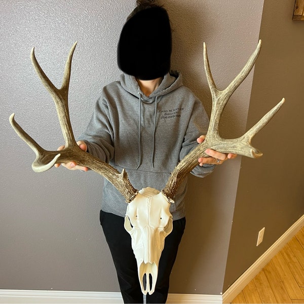 Fake Deer Skull - Etsy