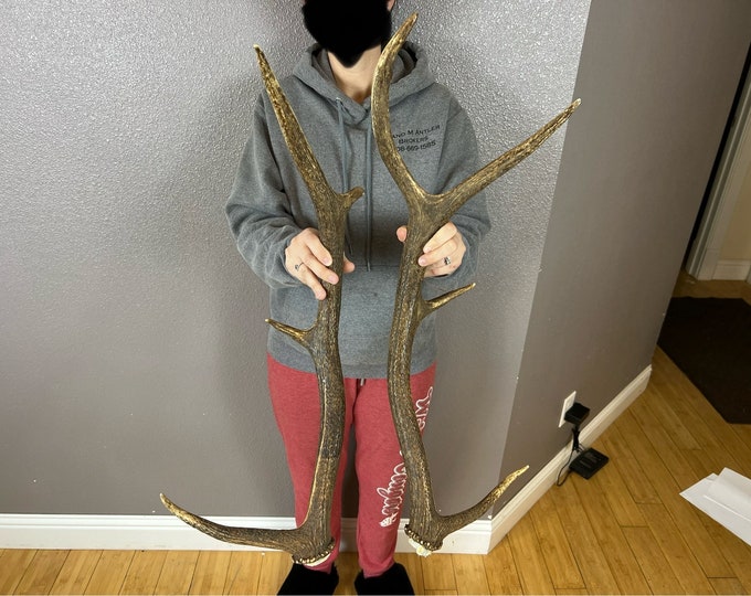 Matched Set 4x4 ELK ANTLERS CUTS Wild Idaho Horn Deer Moose Decor Cuts ...