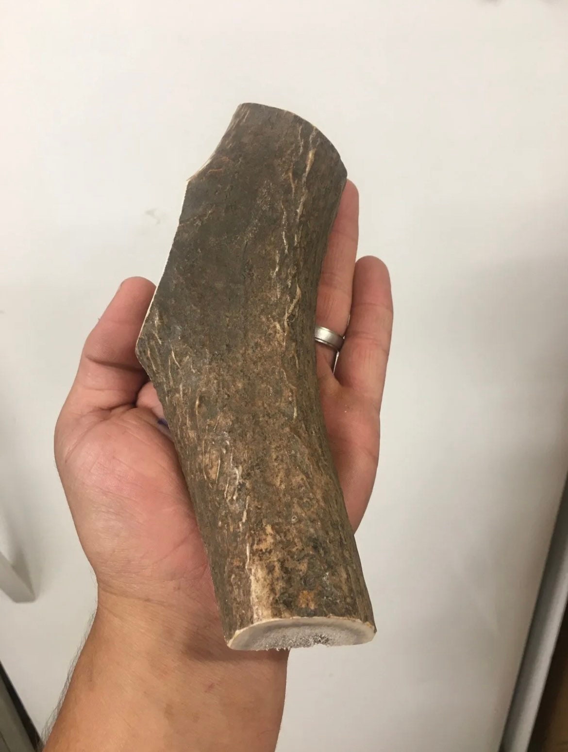 Huge JUMBO Magnum Split Prime Chews Elk Antler Dog Chew SALE - Etsy