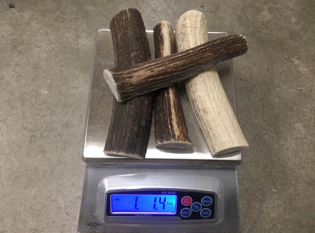 1 Pound Prime Chews Split Elk Antler Dog Chew Mix-m/l SALE LOT Bulk ...