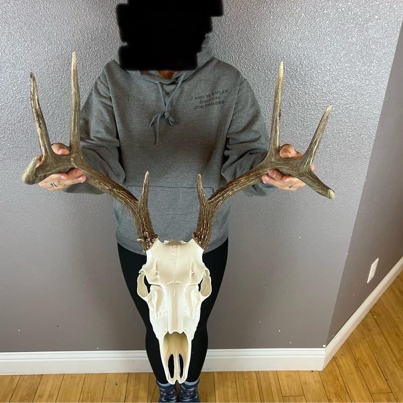 Fake Deer Skull - Etsy