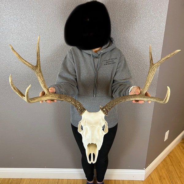 Fake Deer Skull - Etsy