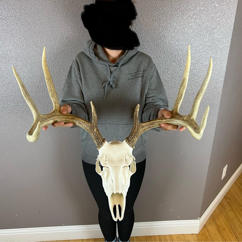 Fake Deer Skull - Etsy