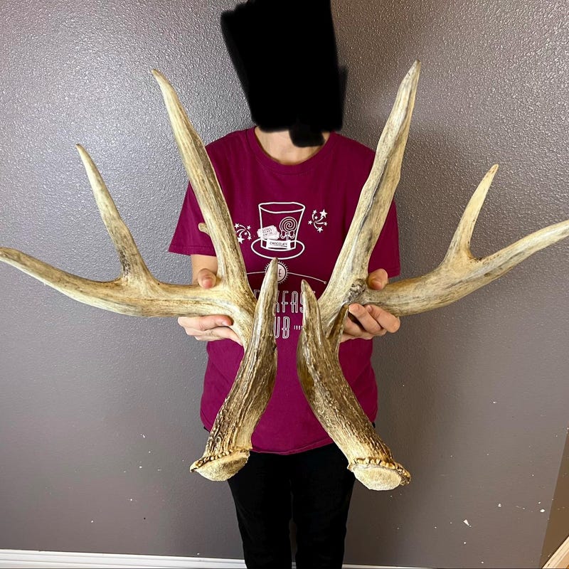 Matching Shed - Etsy