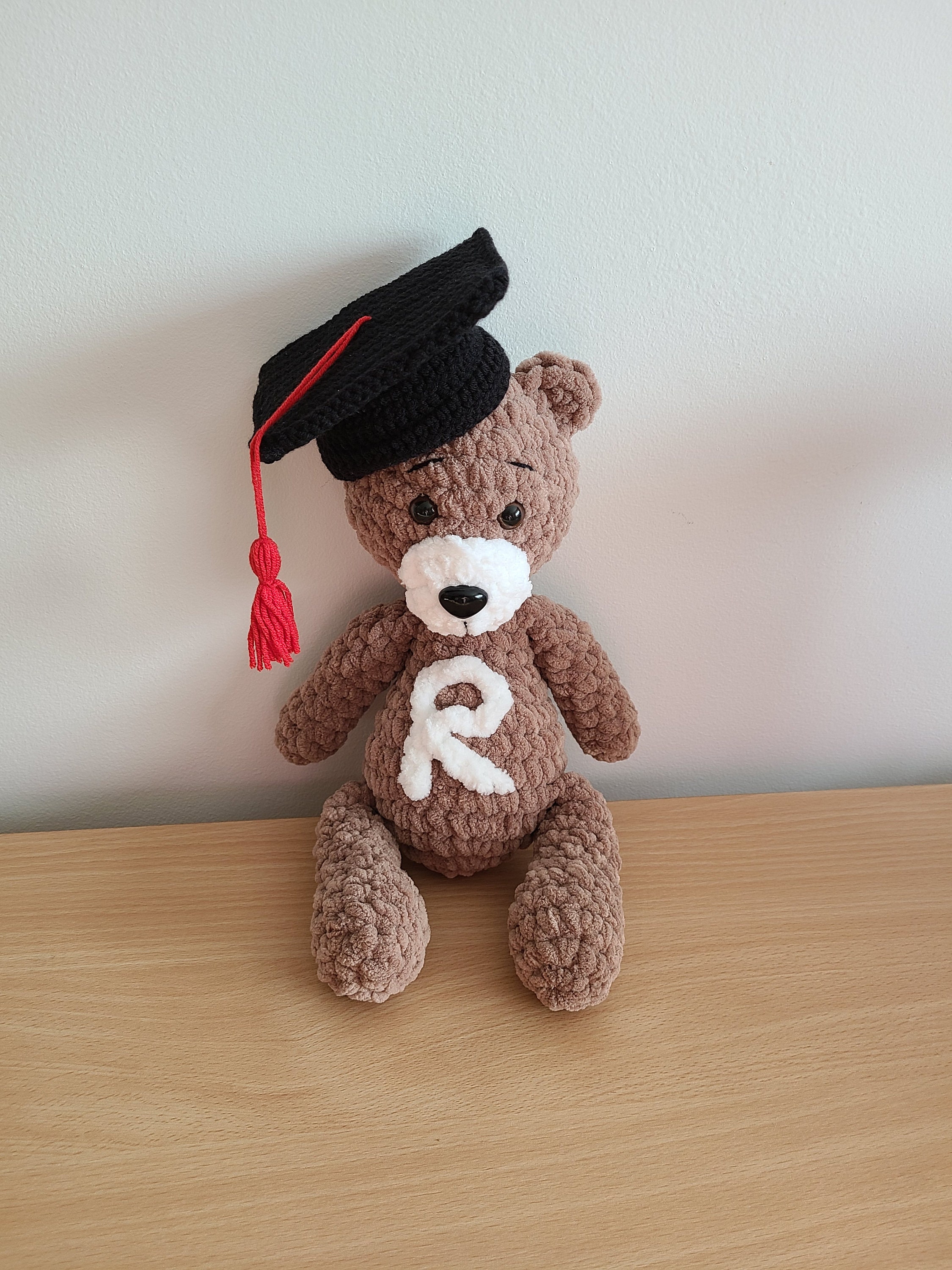 Teddy Bear Graduation Gift - Etsy