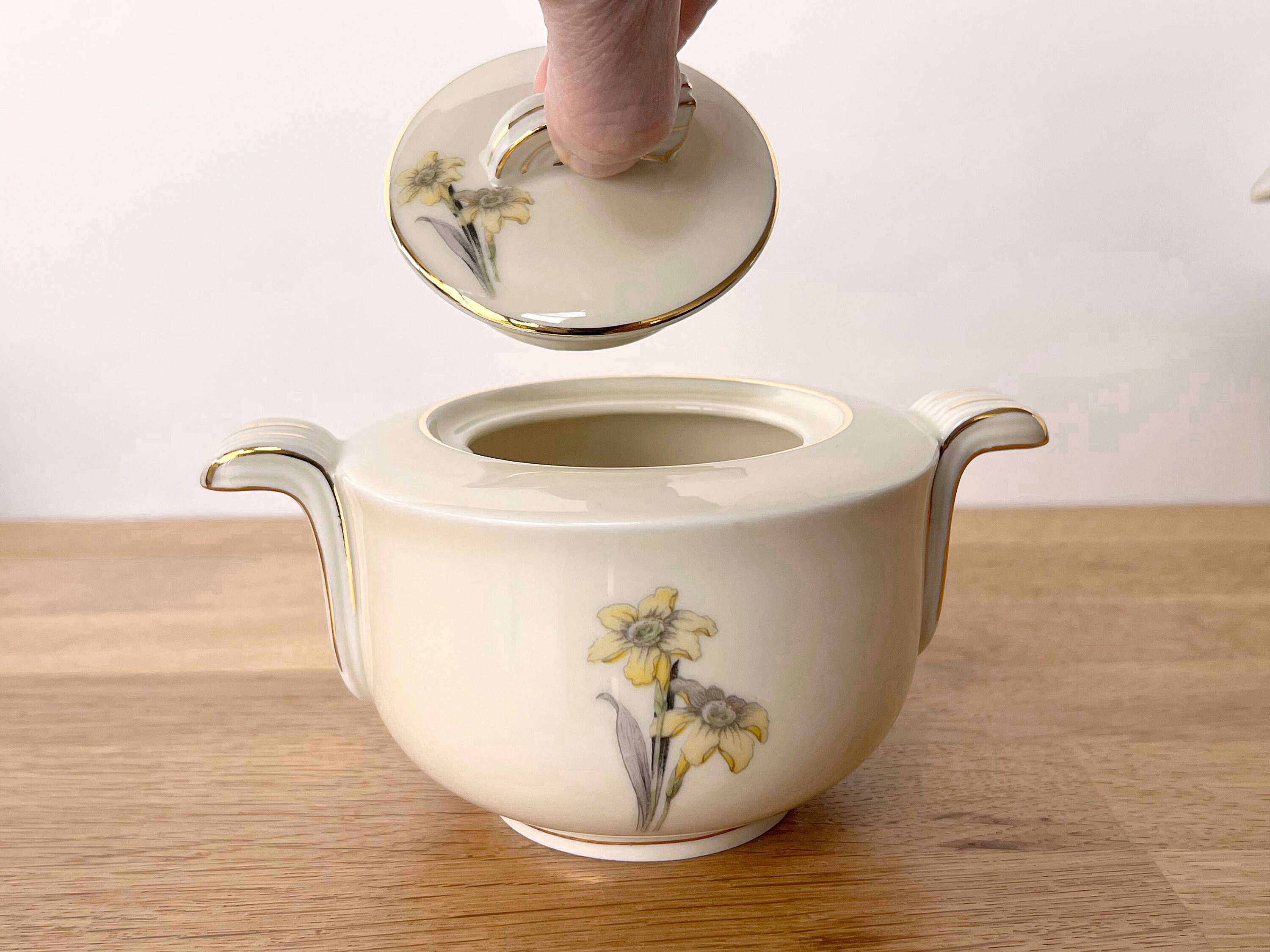 1920's Pirkenhammer Daffodil Tea Set Coffee Set Antique - Etsy