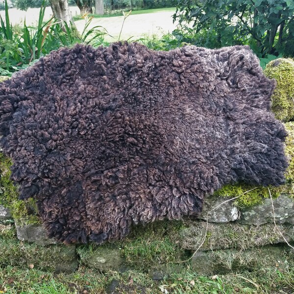 Felted Wool Rug - Etsy UK