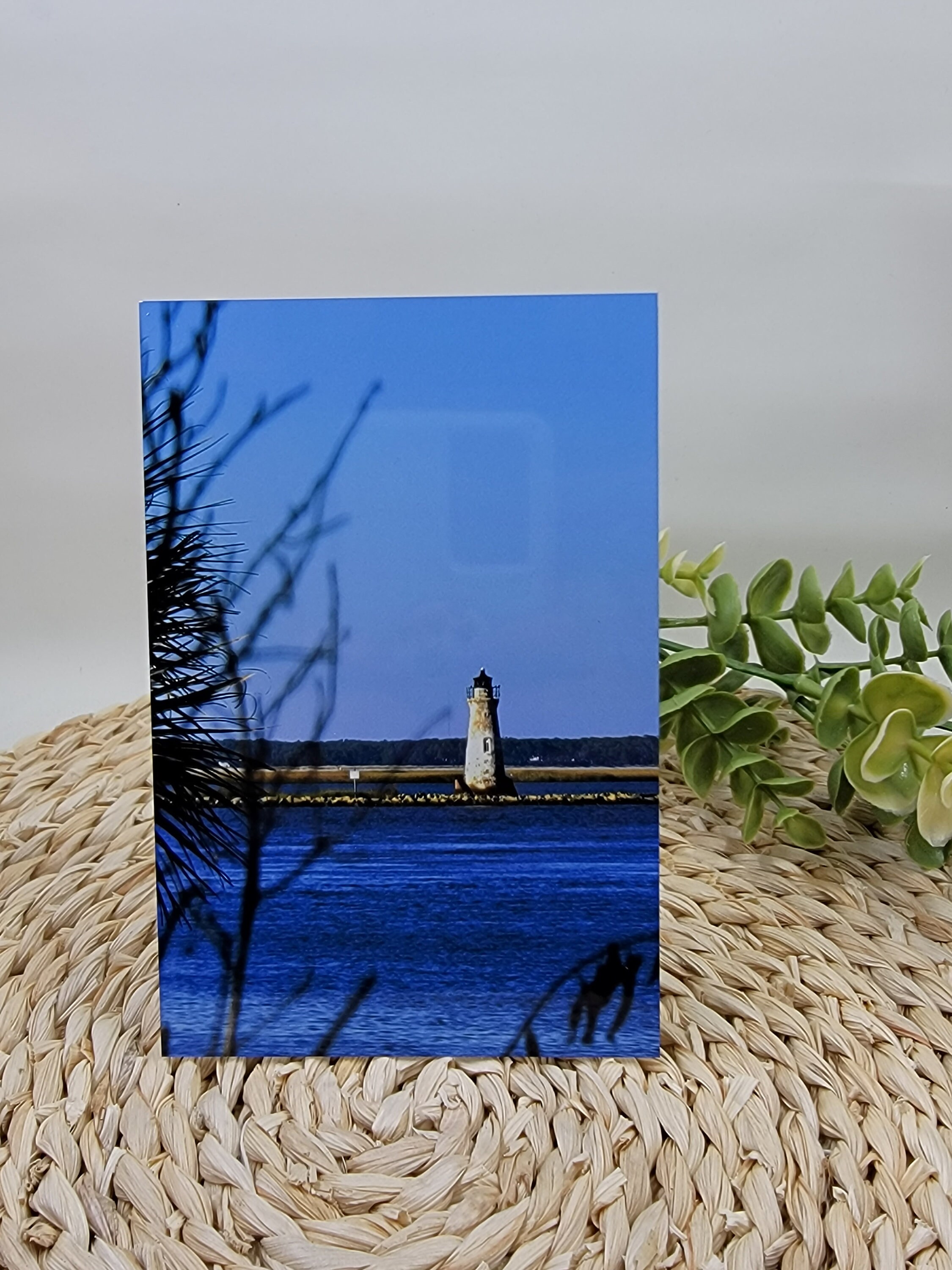 Cockspur Island Lighthouse Metal Photo Print Lighthouse Photo - Etsy