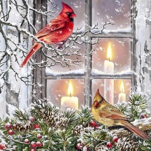 Cardinal Diamond Painting Kit 30x40cm Full ROUND Drill Cardinal Diamond ...