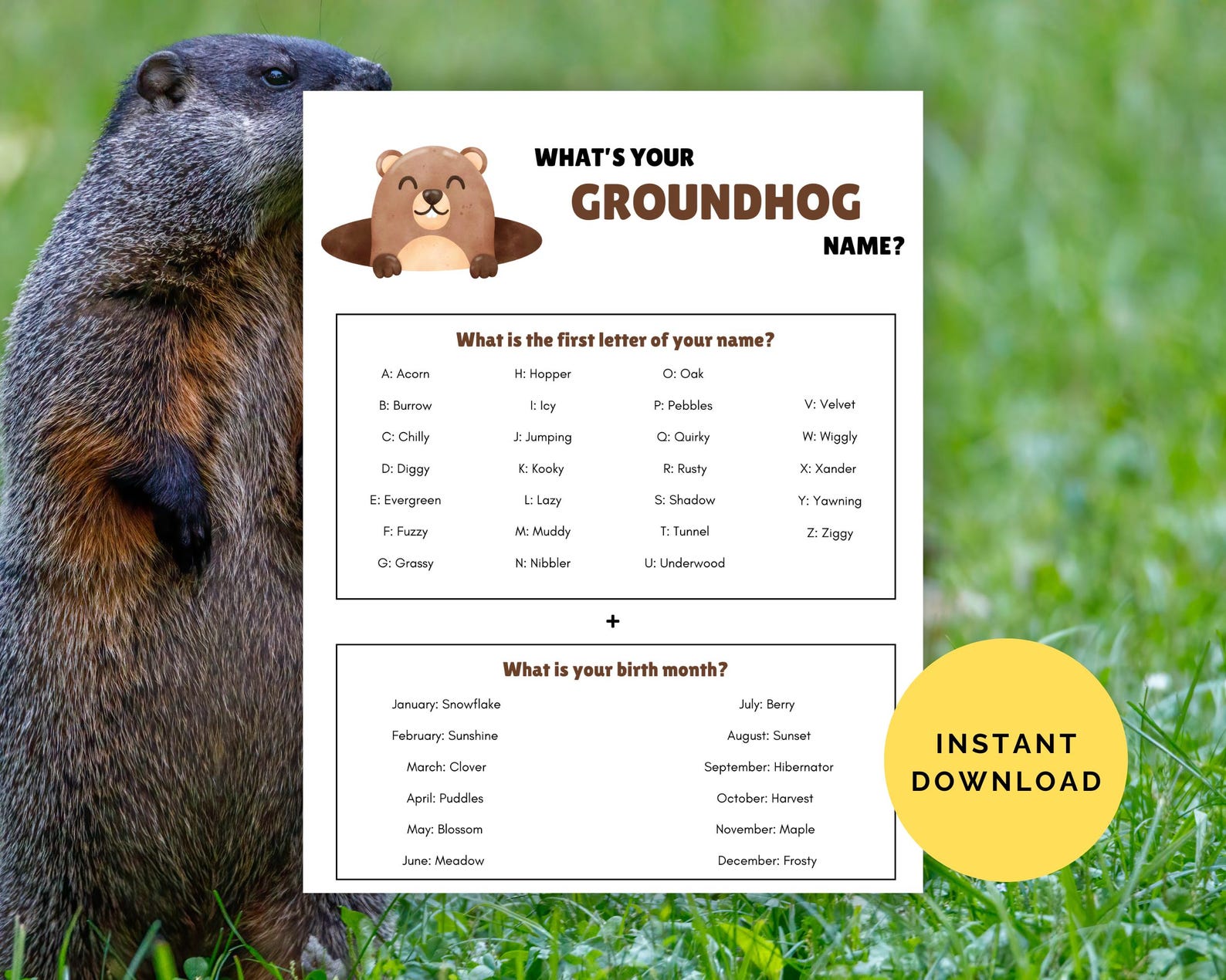 What's Your Groundhog Name Game, Classroom Groundhog Day Activity, Name ...