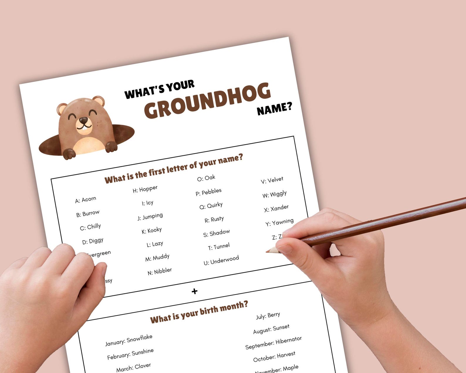 What's Your Groundhog Name Game, Classroom Groundhog Day Activity, Name ...