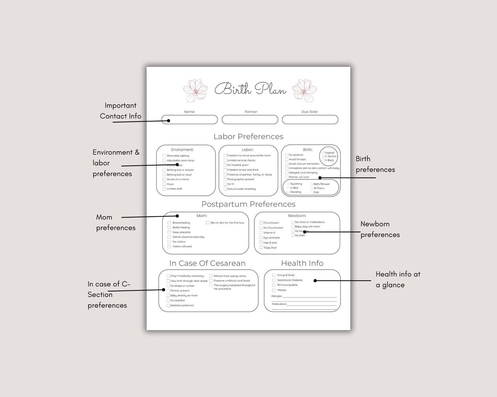 Editable Birth Plan Template, Visual Birth Plan Checklist, Pregnancy ...