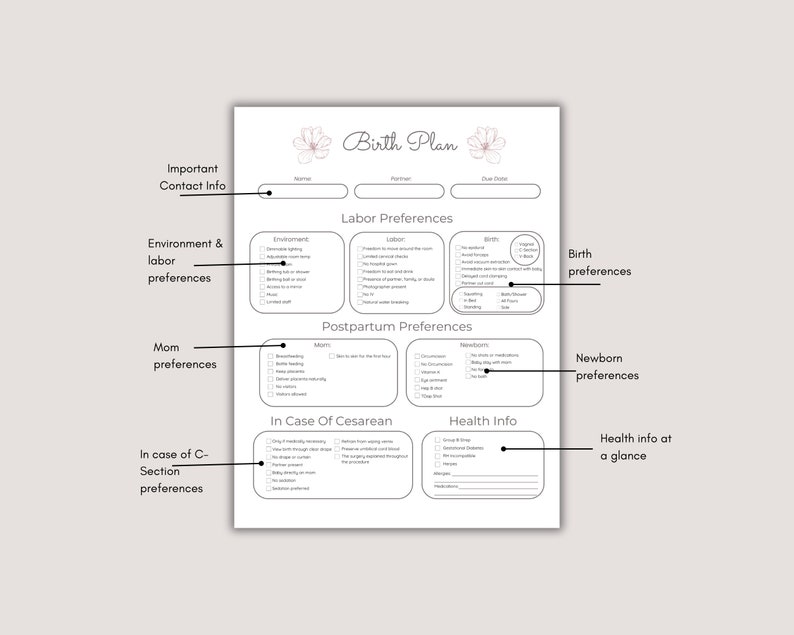 Editable Birth Plan Template, Printable Birthing Plan, Visual Birth ...