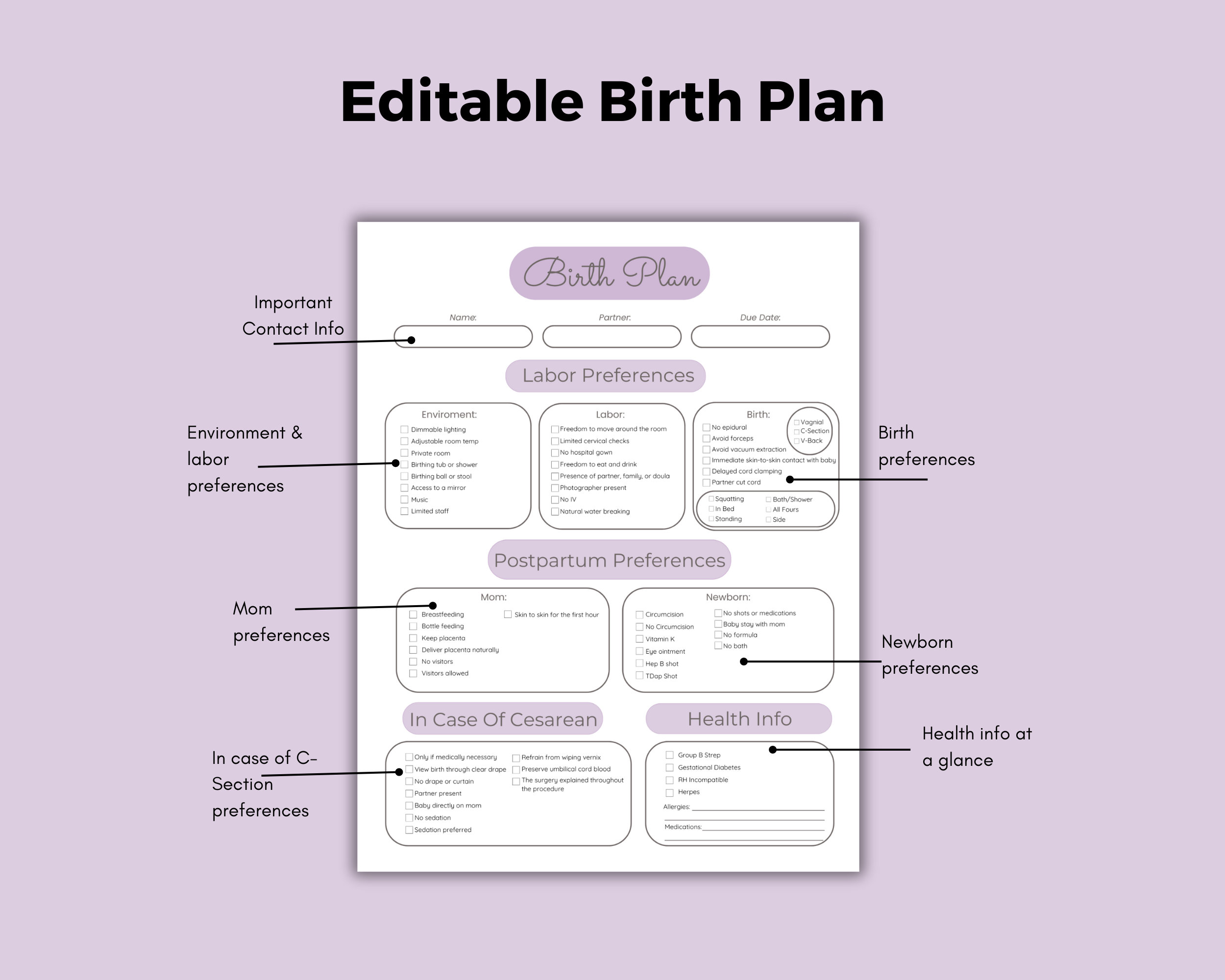 Printable Birthplan, Editable Canva Birth Plan Template, Doula ...
