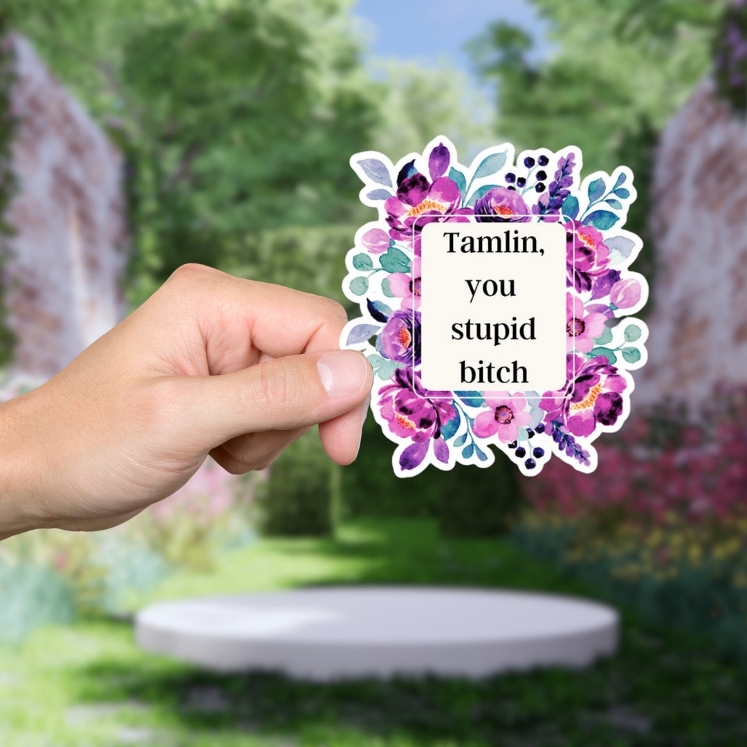 Tamlin You Stupid Bitch, Tampon, ACOTAR Inspired, A Court of Thorns and ...