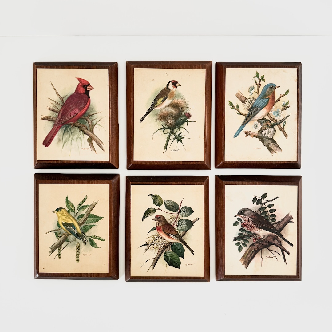 Vintage Decoupage Wood Bird Plaques Set of 6 Bird Wall Gallery ...