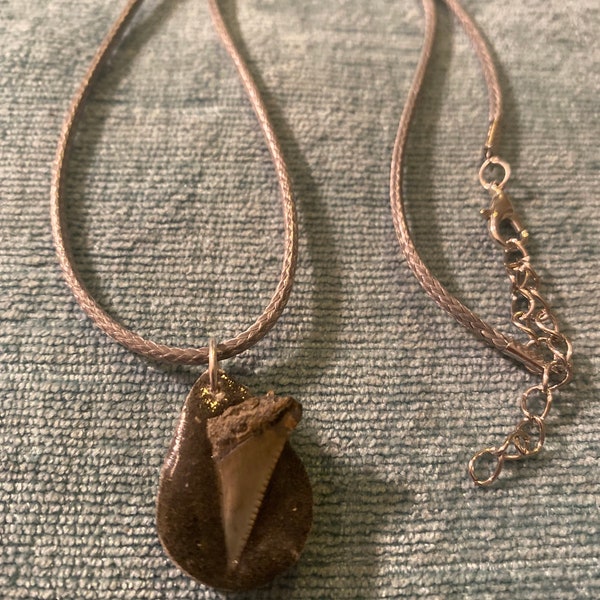 Fake Shark Tooth Necklace - Etsy