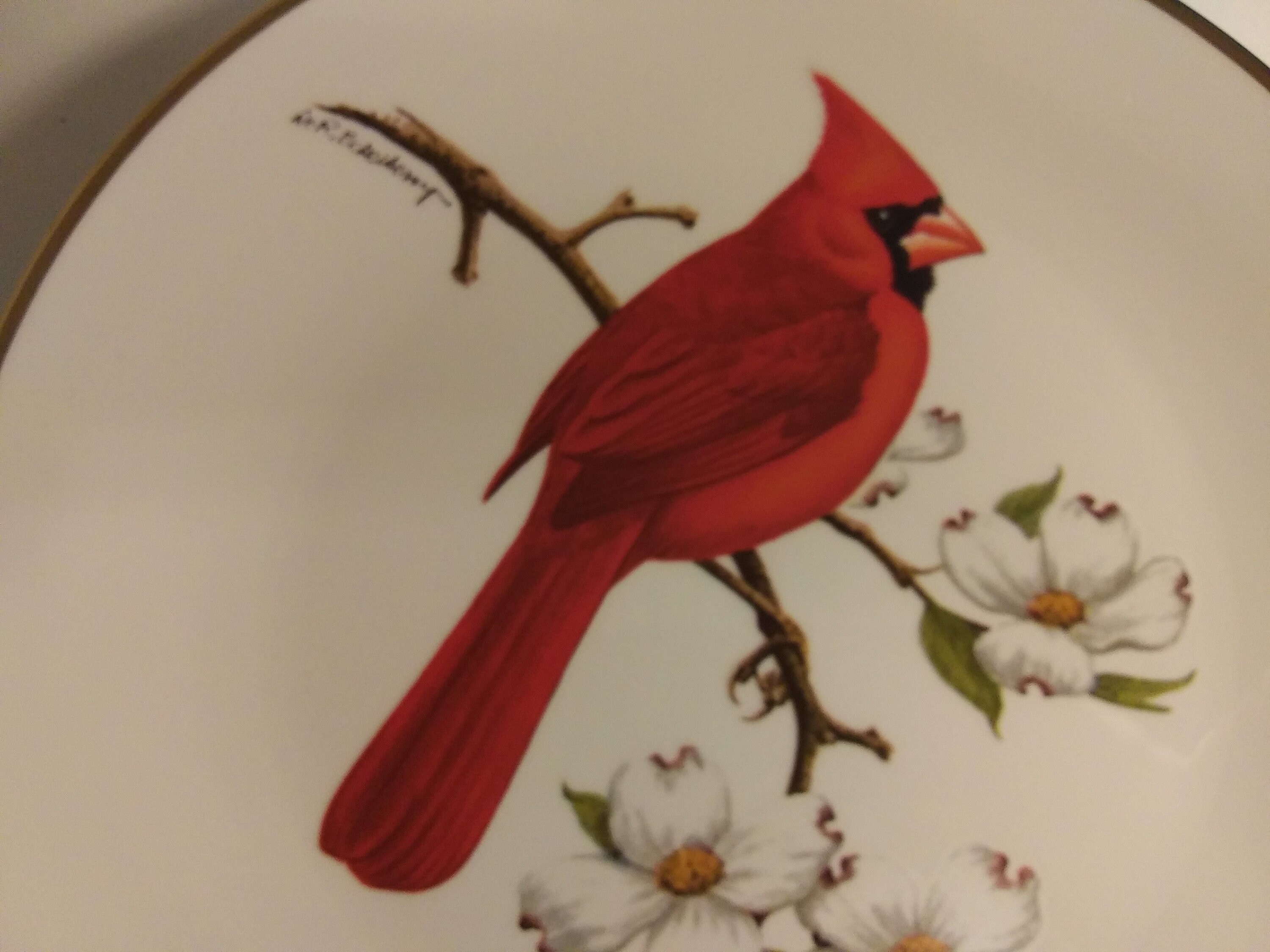 Vintage Avon Porcelain North American Songbird Plate - Etsy