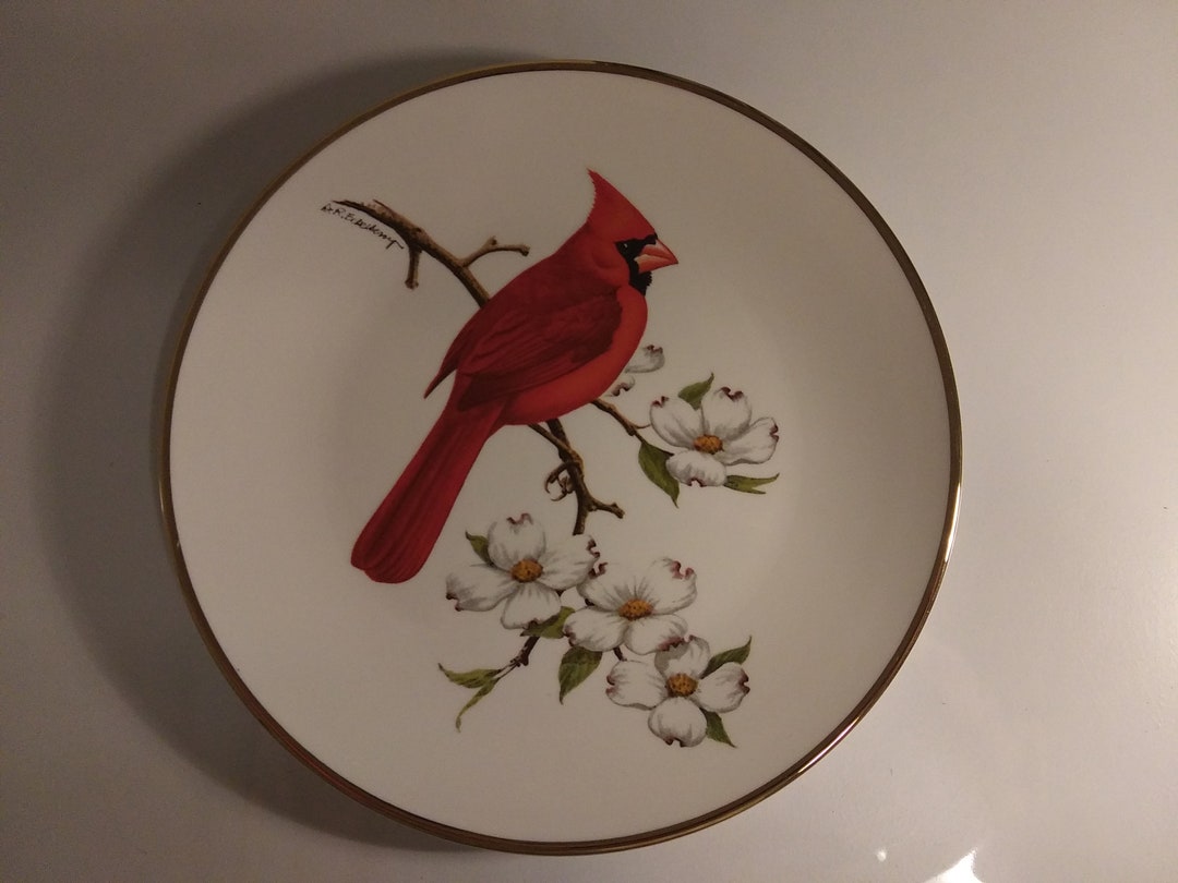 Vintage Avon Porcelain North American Songbird Plate - Etsy