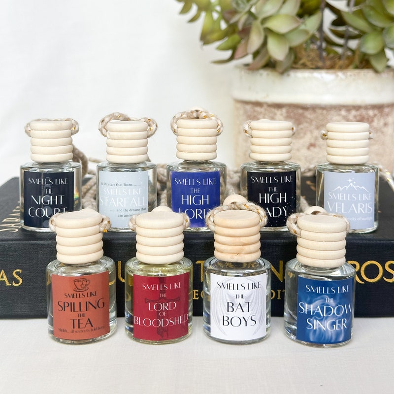 Car Fresheners Court - Etsy