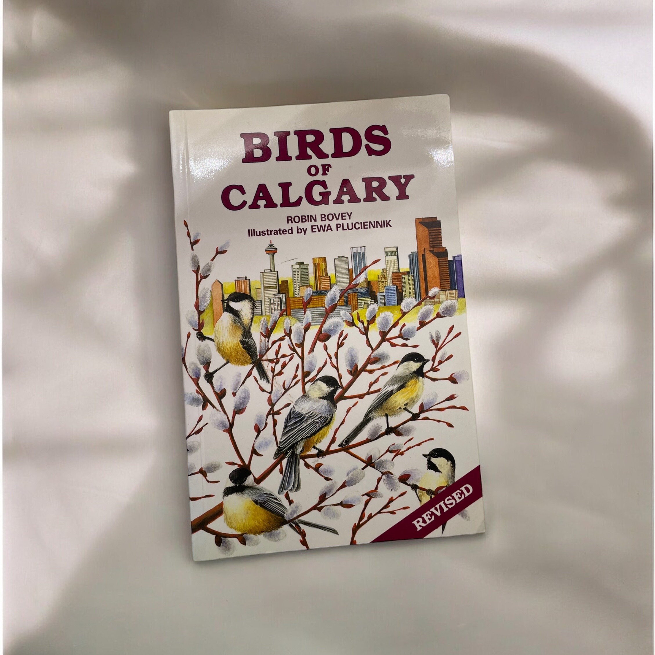 Birds of Calgary Vintage Bird Watching Book - Etsy