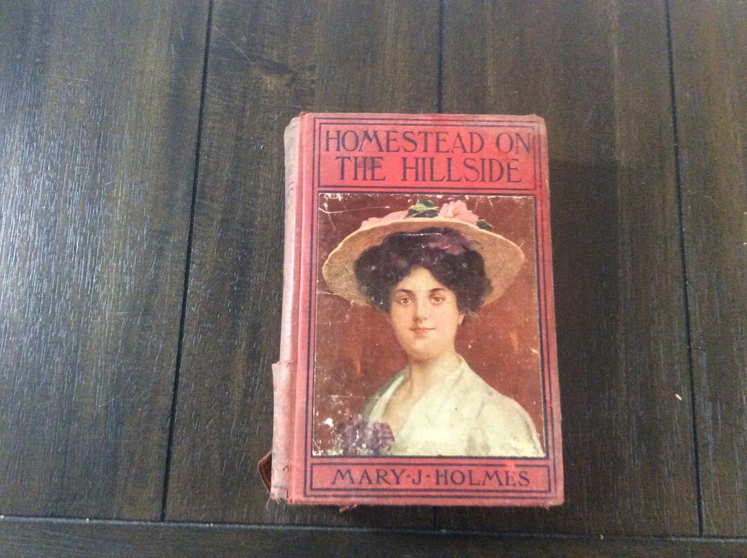 Homestead on the Hillside, 1923 Hardback Book - Etsy