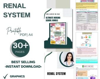 Urinary System Nursing - Etsy