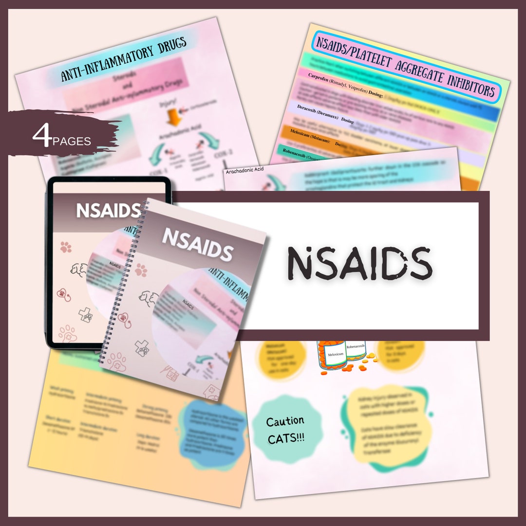 NSAIDS Vet Good Notes Planner Notes Template Study - Etsy