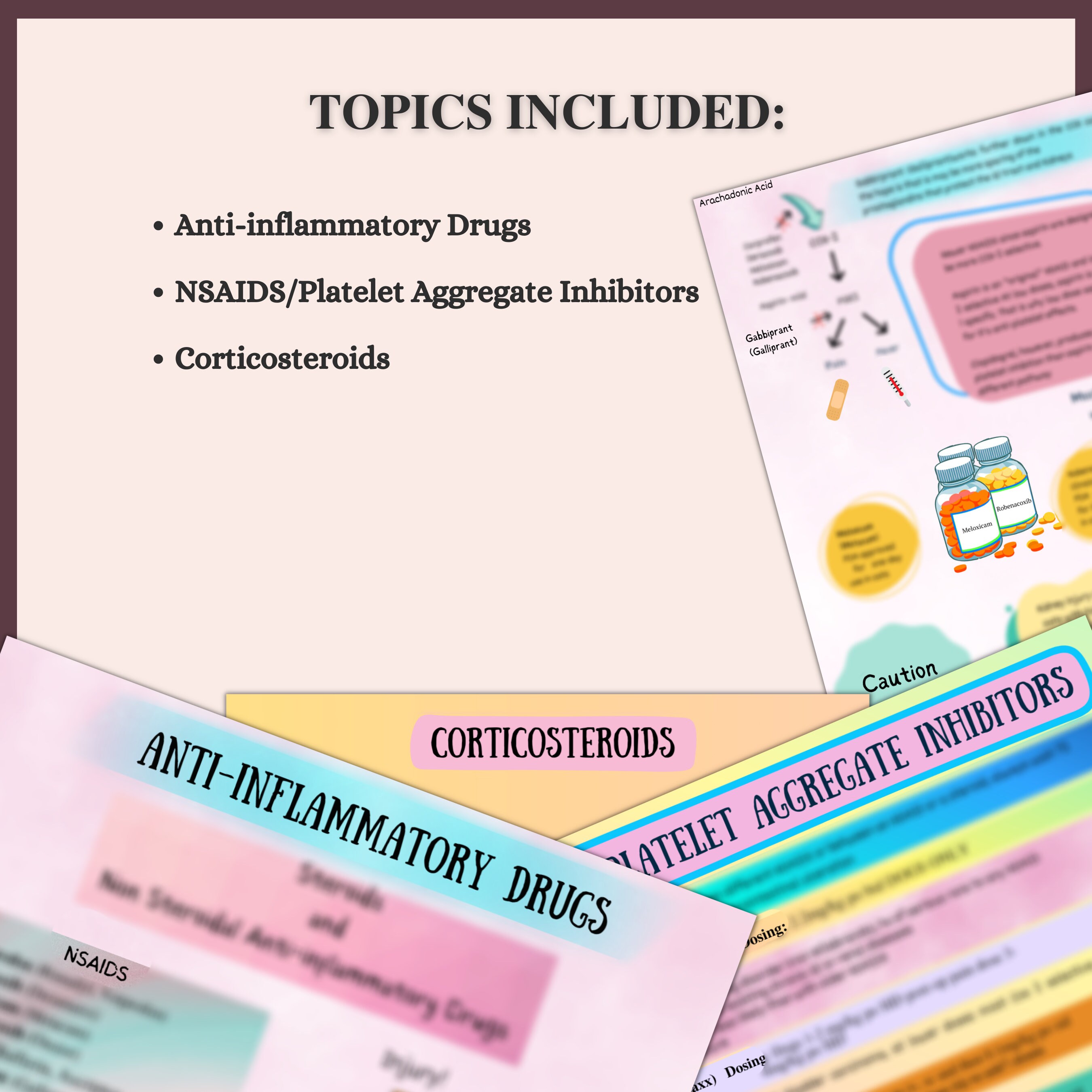 NSAIDS Vet Good Notes Planner Notes Template Study - Etsy