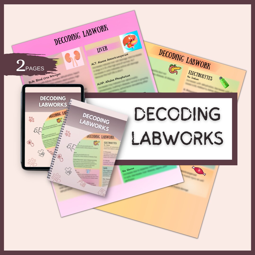 Decoding Lab Works Vet Good Notes Planner Notes Template Study Planner ...