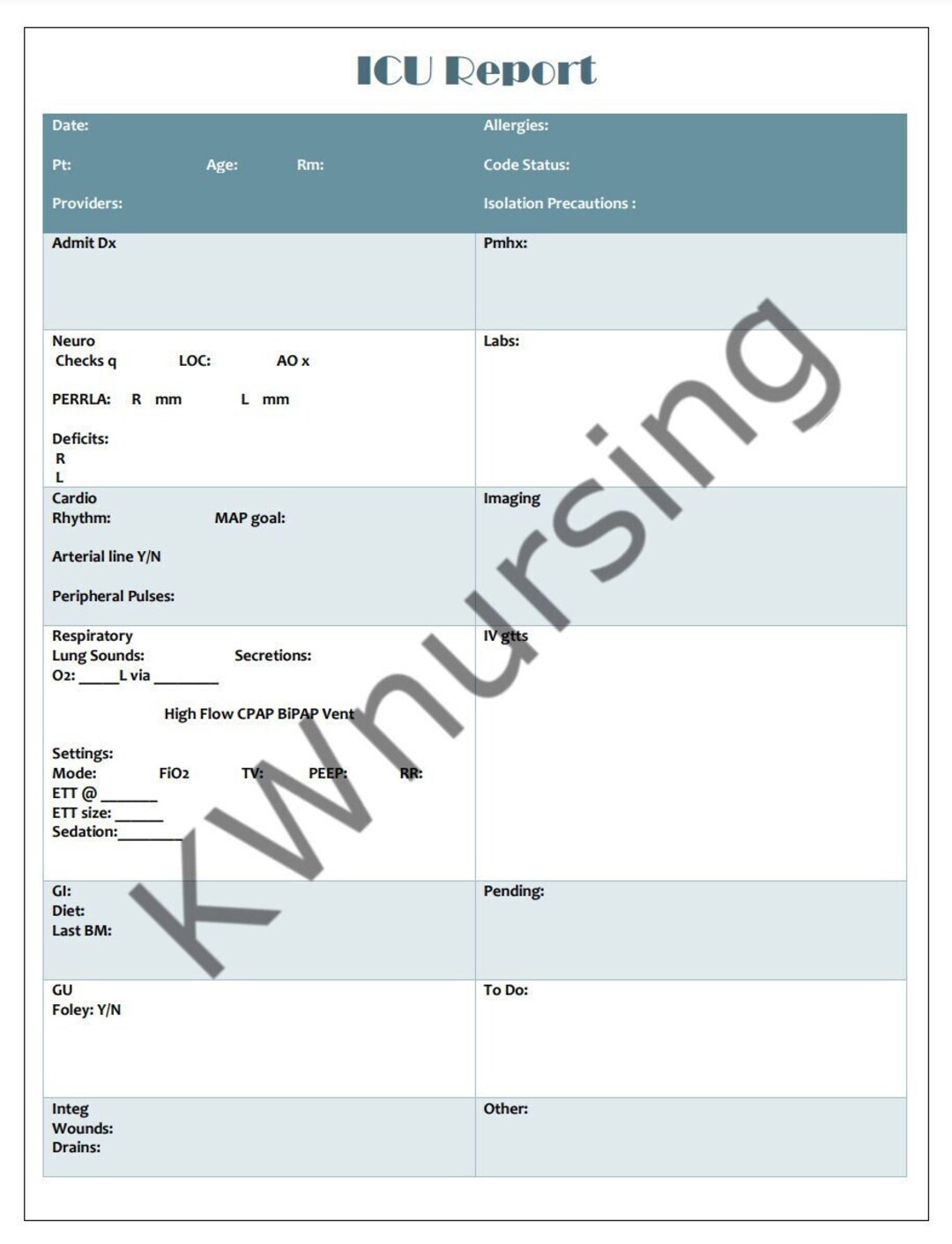 Simple ICU Report - Etsy