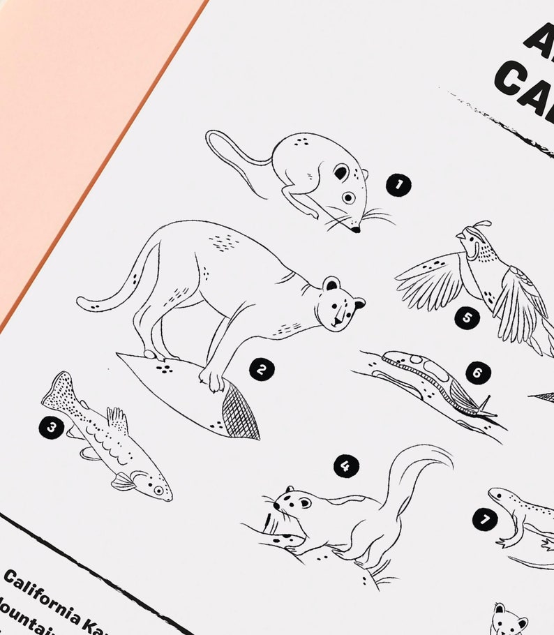 Animals of California Coloring Pages I Wildlife Coloring Pages I ...