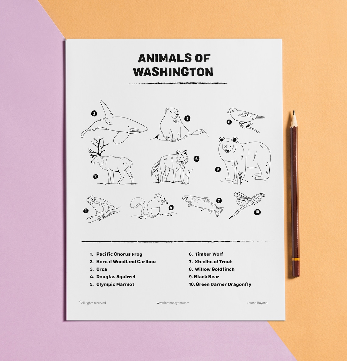 Animals of Washington Coloring Pages I Wildlife Coloring Pages I ...