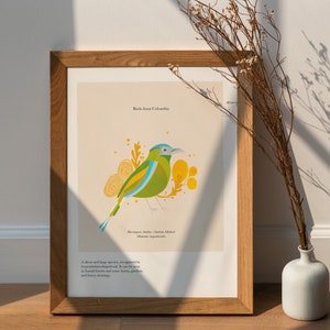 Birds Print | Colombian Natural Print | | Set of 3 Posters | Nursery ...