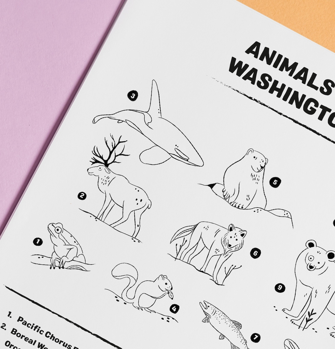 Animals of Washington Coloring Pages I Wildlife Coloring Pages I ...