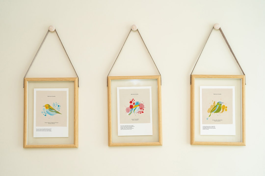 Birds Print | Colombian Natural Print | | Set of 3 Posters | Nursery ...