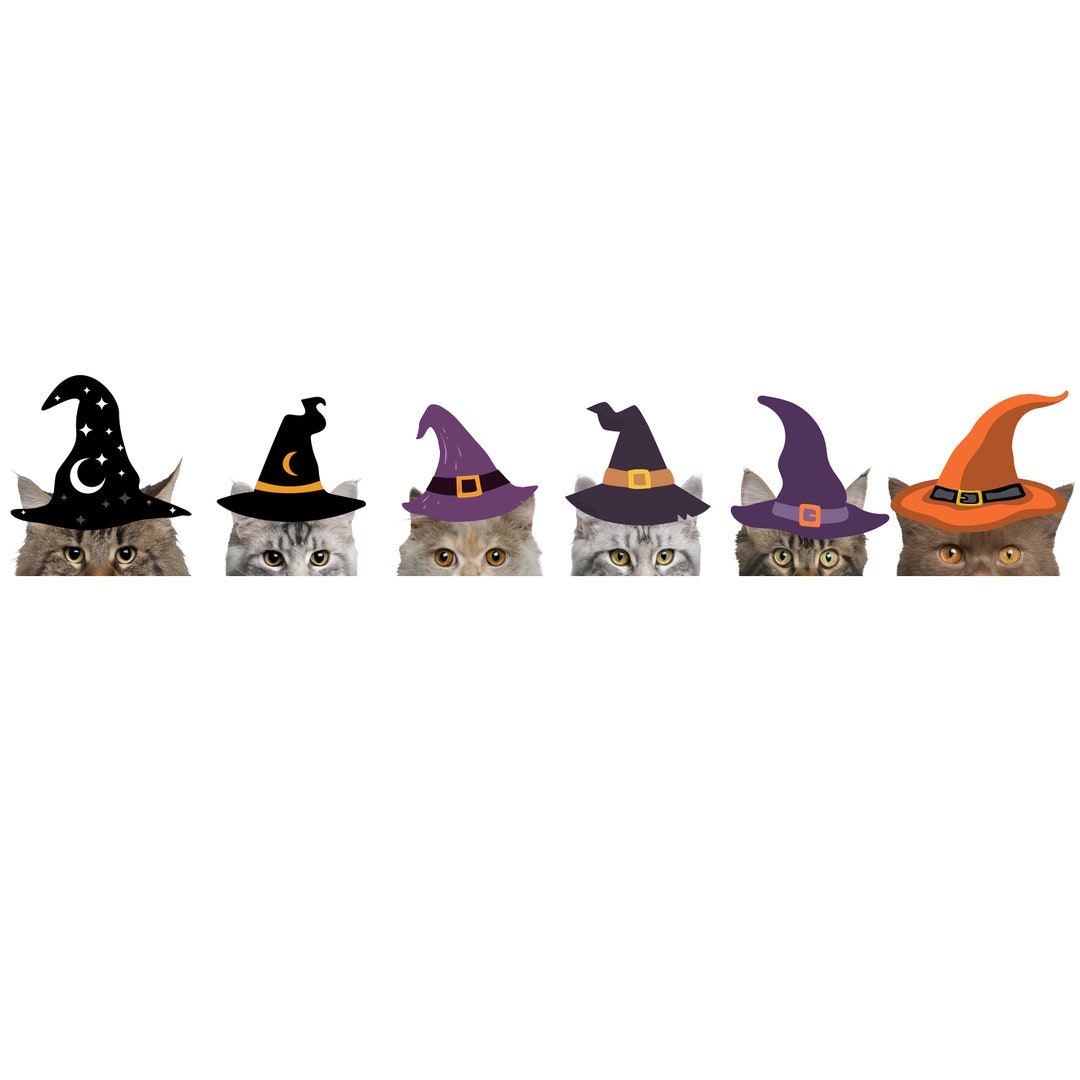 Witch Cat Digital File, Halloween PNG Digital File- Cat Digital Files ...