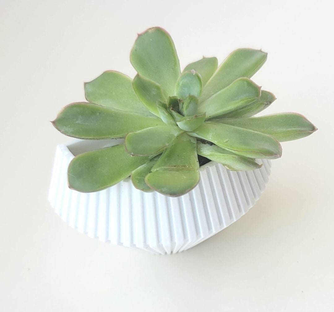 GEO Magnet 3D Printed Planter, Magnetic Planter,air Plant Holder ...