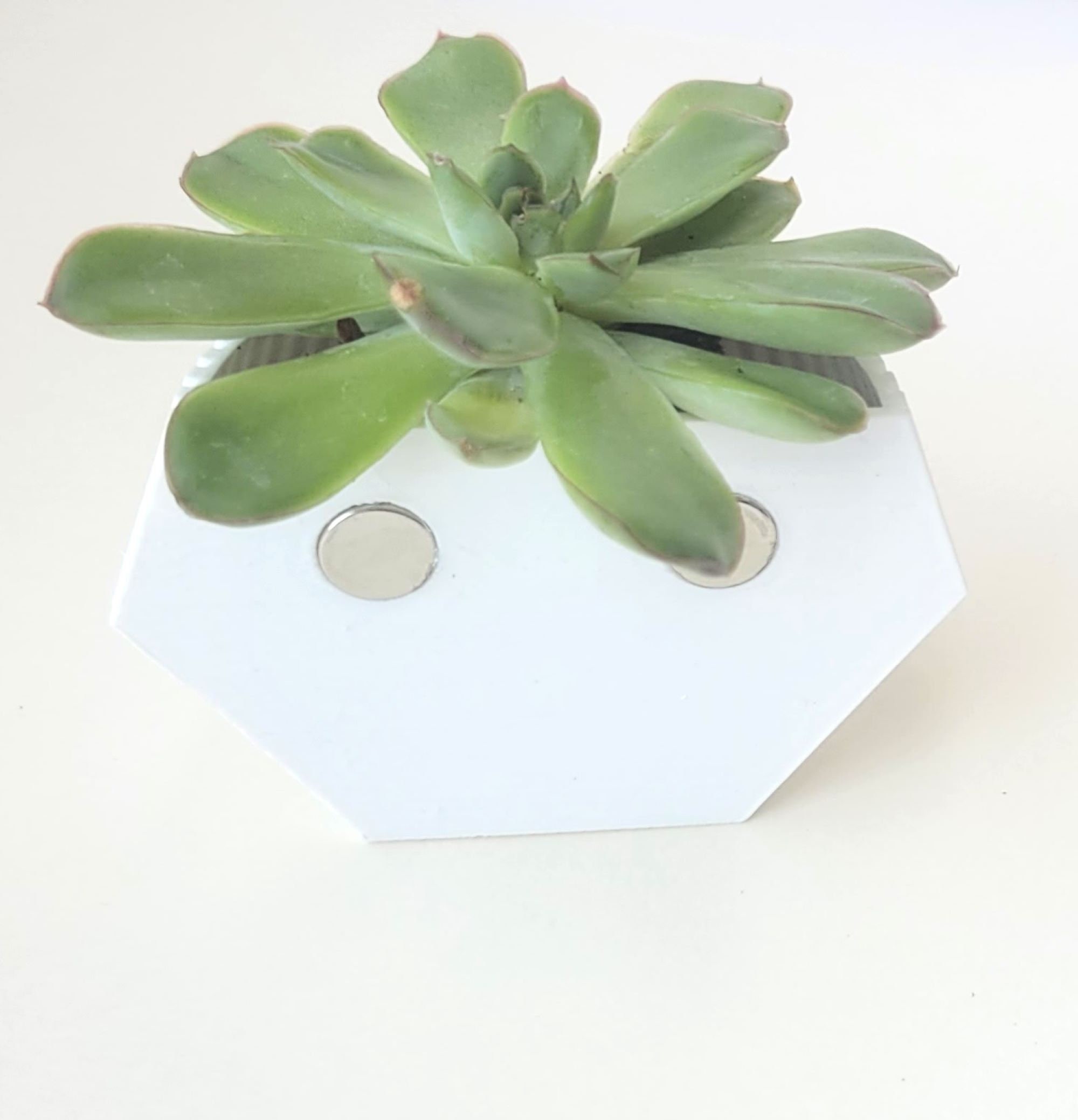 GEO Magnet 3D Printed Planter, Magnetic Planter,air Plant Holder ...