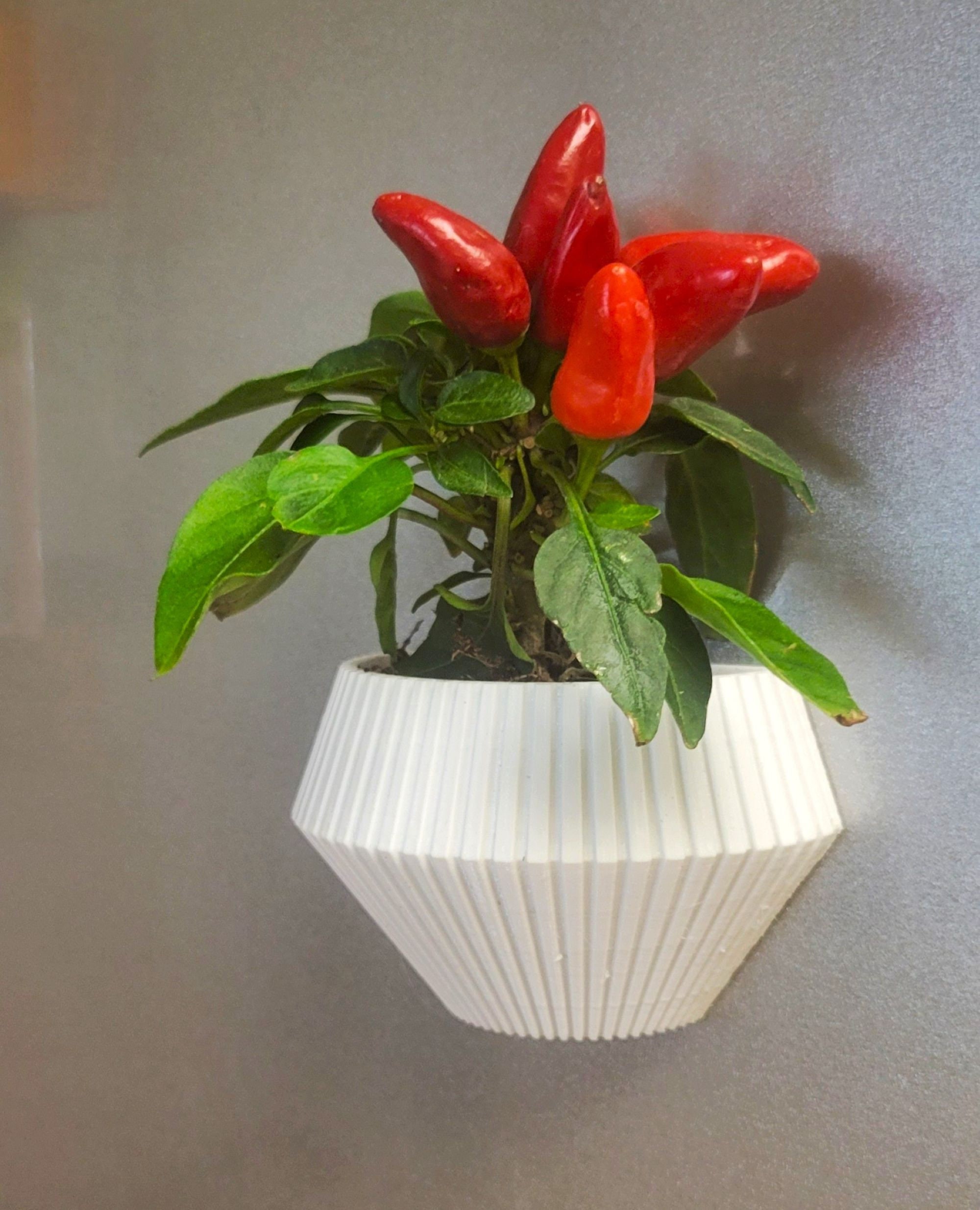 GEO Magnet 3D Printed Planter Magnetic Planterair Plant - Etsy