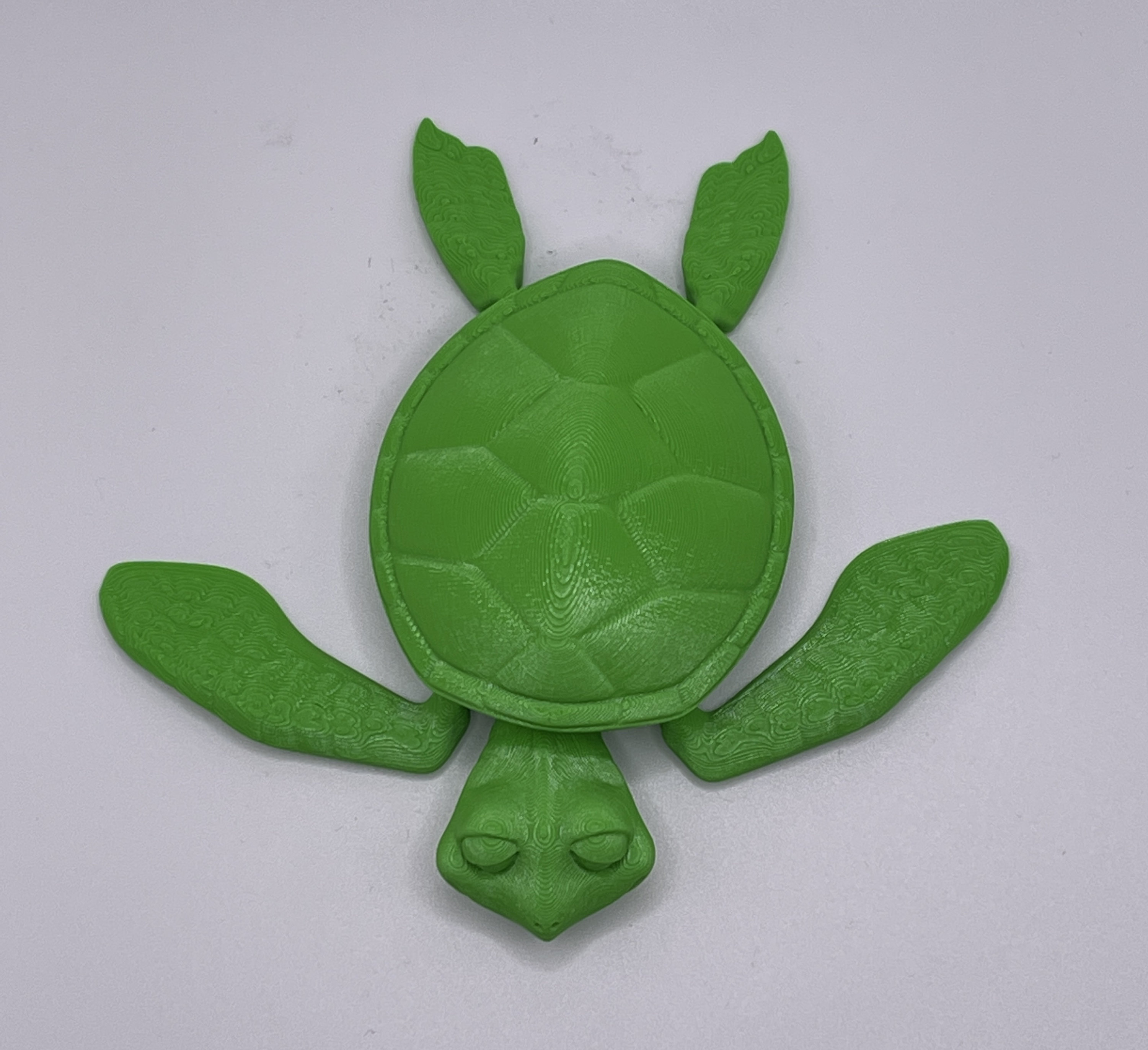 Flexi Factory Turtle - Etsy
