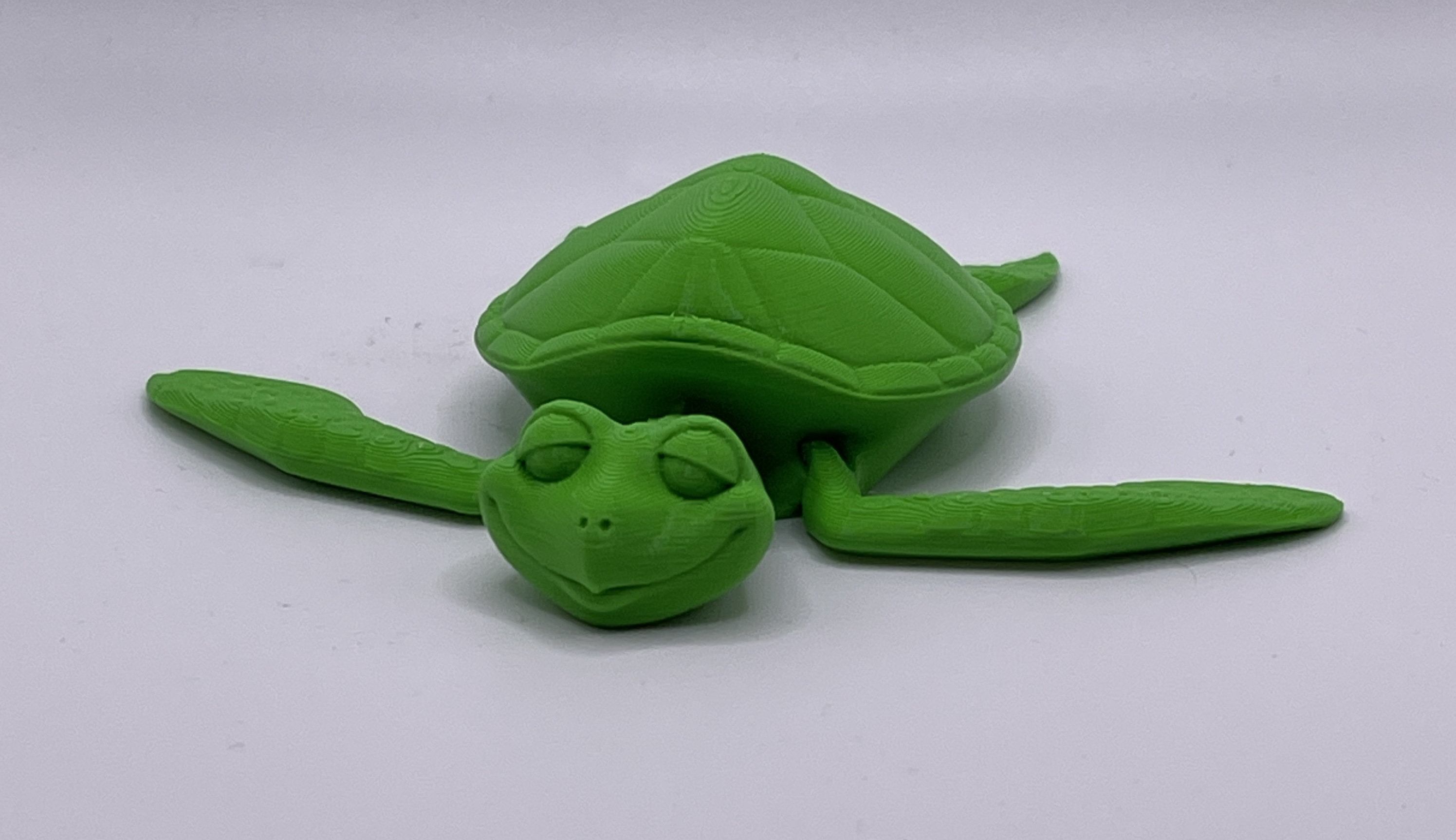 Flexi Factory Turtle - Etsy