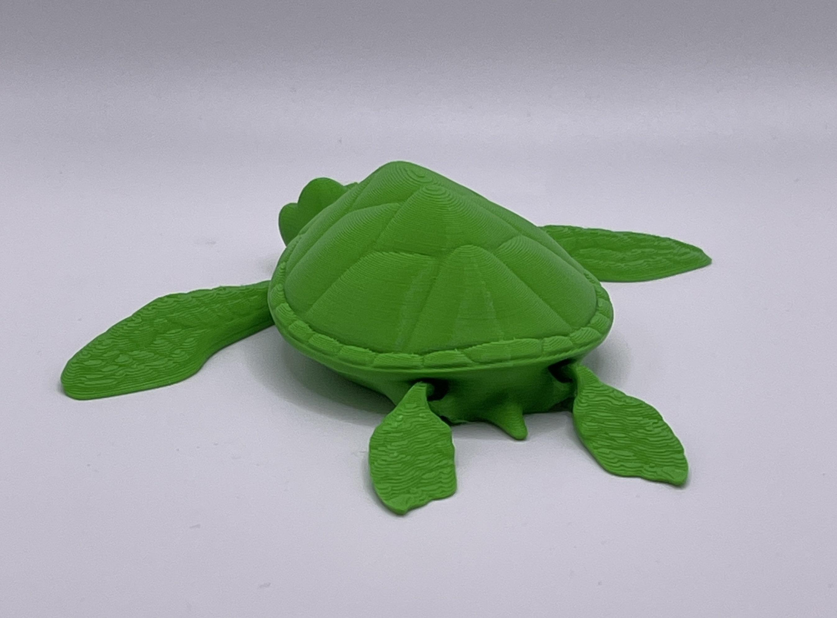 Flexi Factory Turtle - Etsy