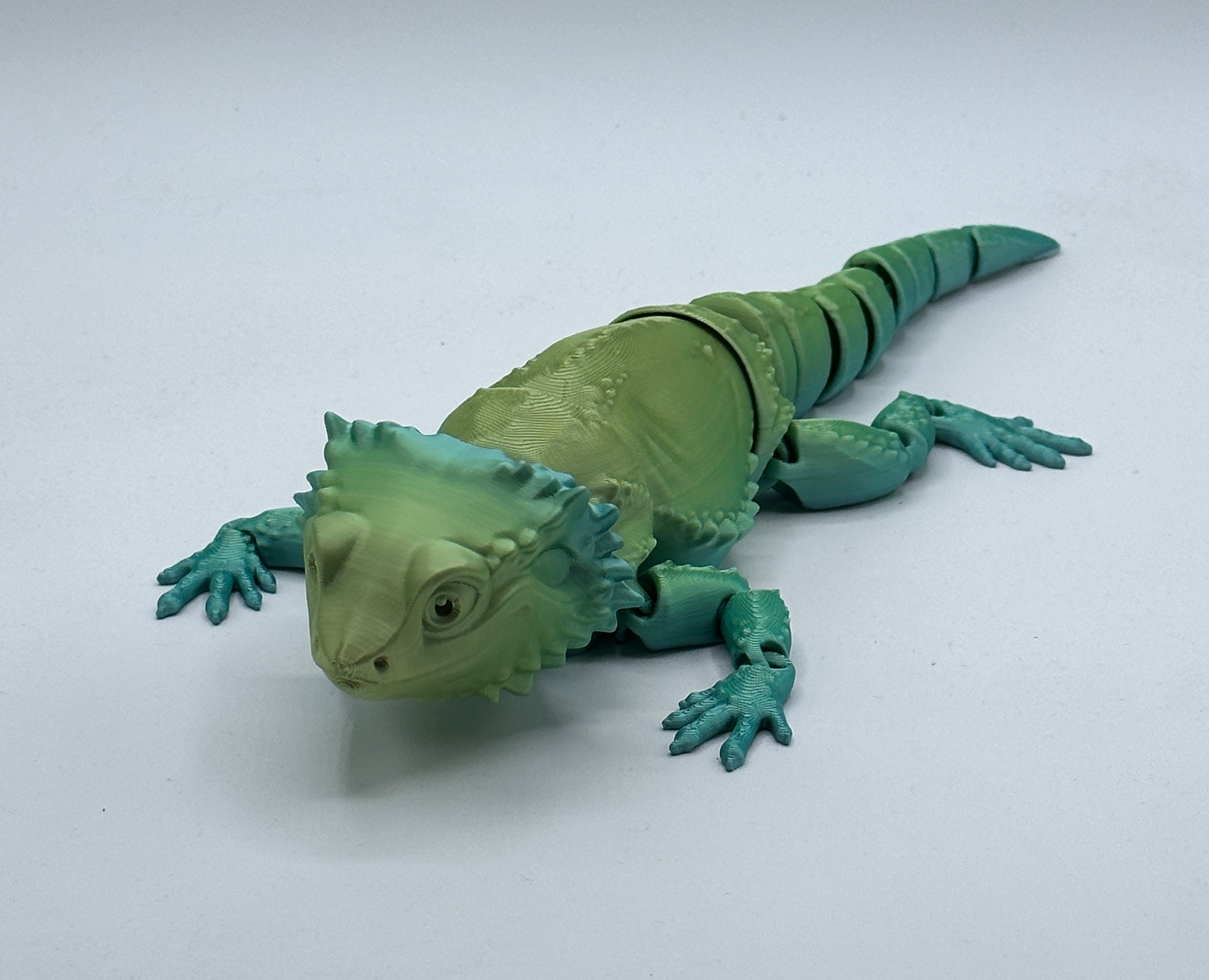 Bearded Dragon 3D Printed Model - Etsy