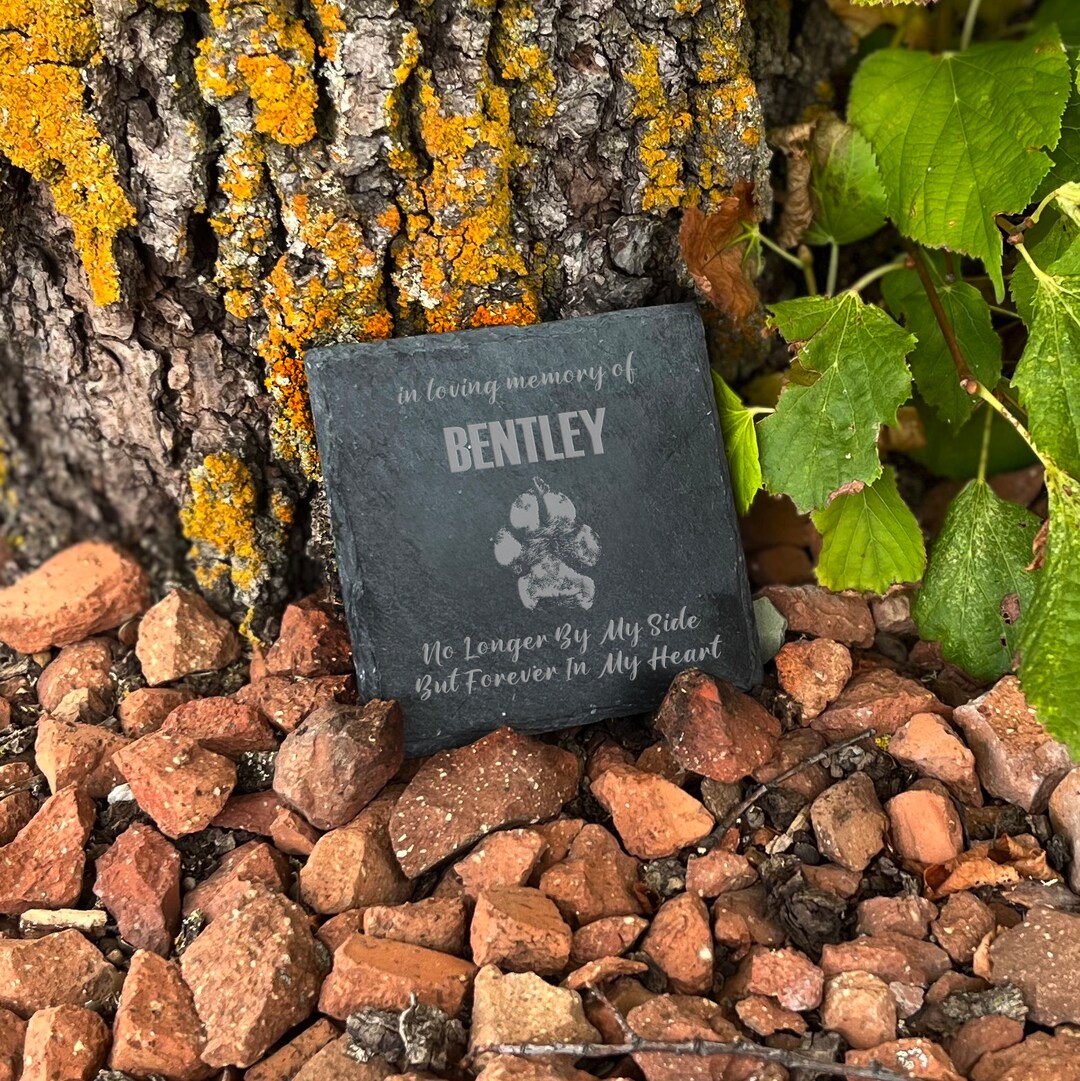 Pet Paw Print Memorial Stone, Real Paw Print Memorial Stone ...