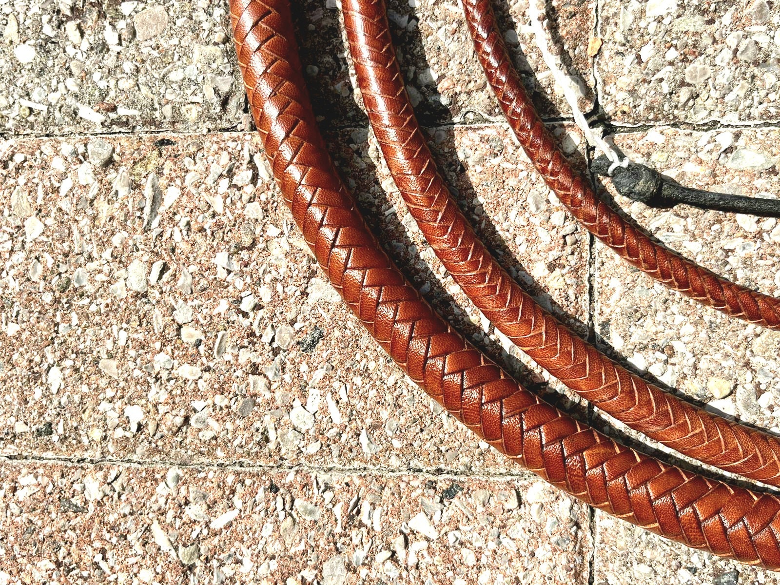 Indiana Jones Bullwhip. 10ft 12 Strands KOTCS Edition in - Etsy Canada