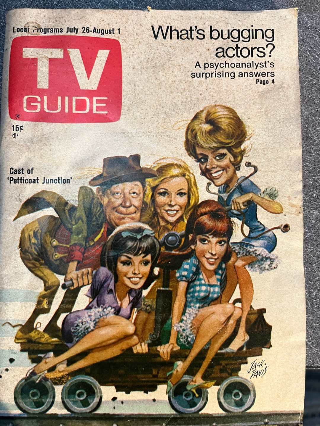 TV Guide Magazines the Cast of Petticoat Junction 1969 - Etsy