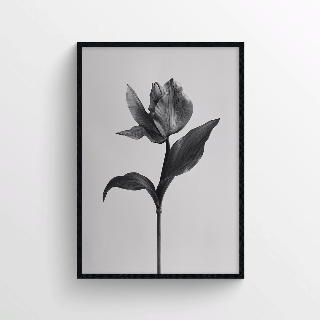 Flower Photo Print Black and White, Minimalist Art for Modern Interior ...