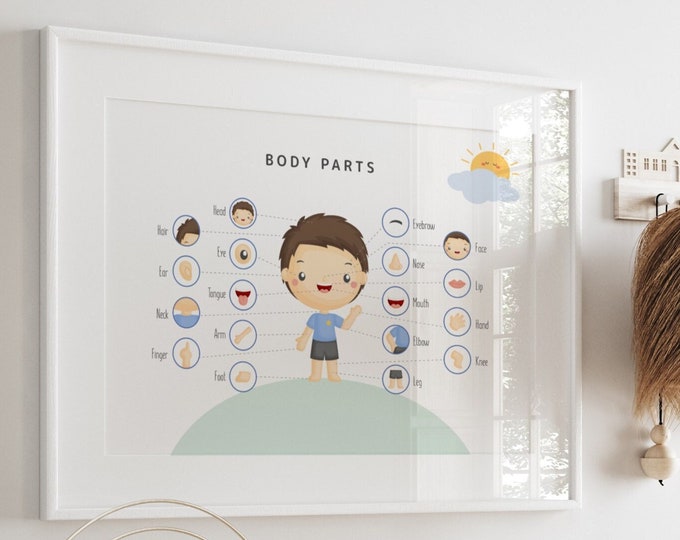 SKELETAL SYSTEM • Montessori Poster • Montessori Educational ...