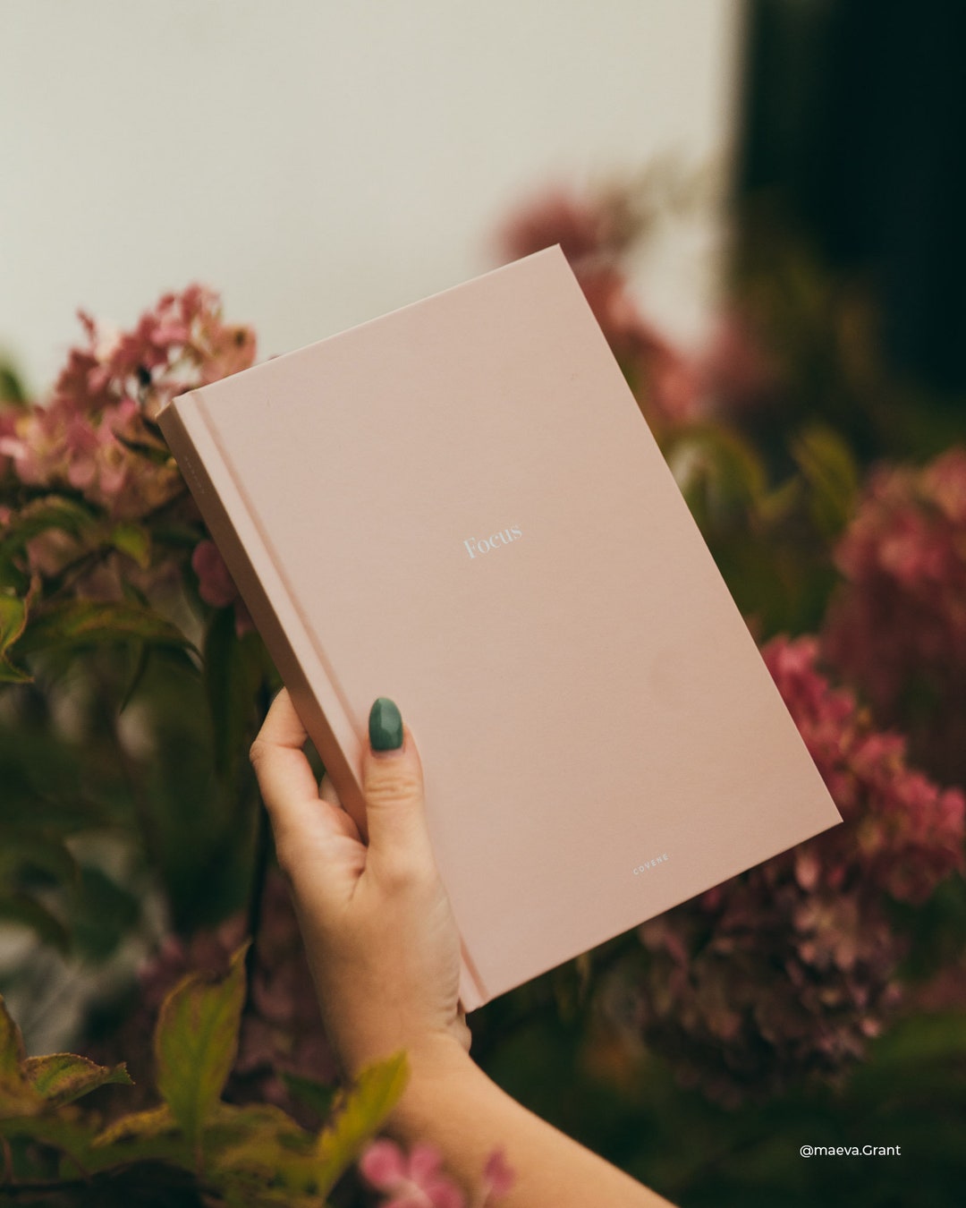 Planner Focus, Project Notebook, A5, Organization, Diary, Productivity ...